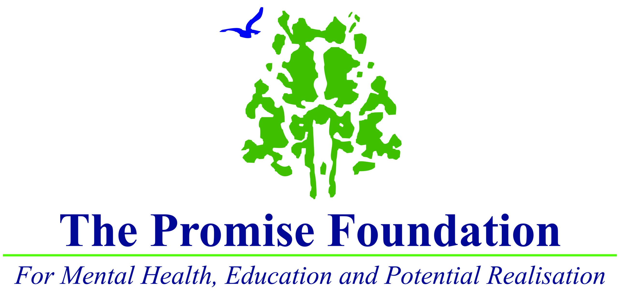 The Promise Foundation